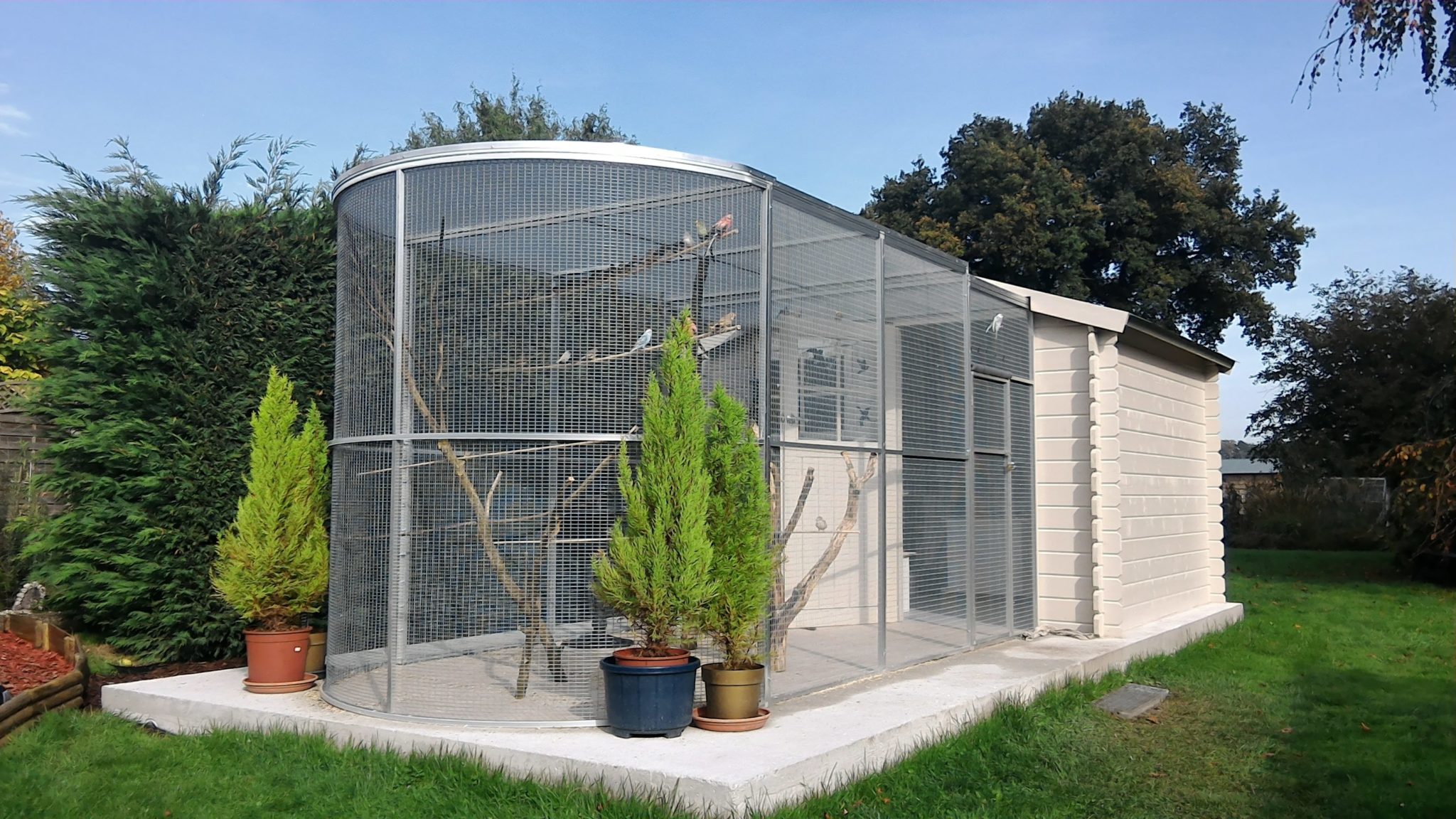 Volières et cages d’élevage en aluminium | Psittacofolie